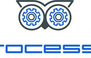 iprocess Logo - VERSLI MAMA