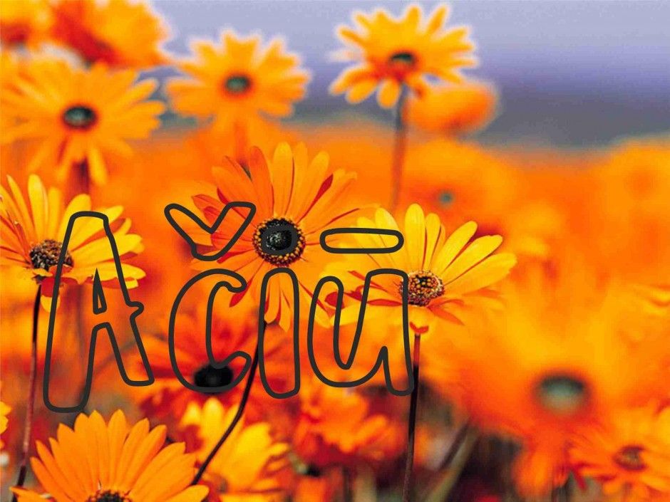 Pagarbos mokesčių mokėtojams dieną Mokesčių inspekcija taria AČIŪ ...